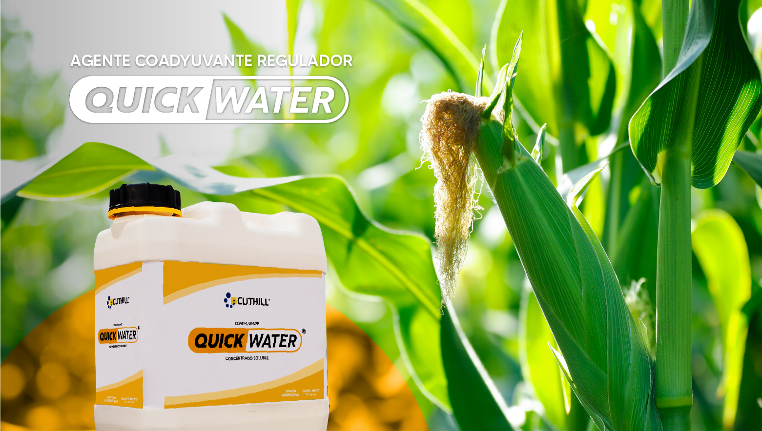 QuickWater – Cuthill